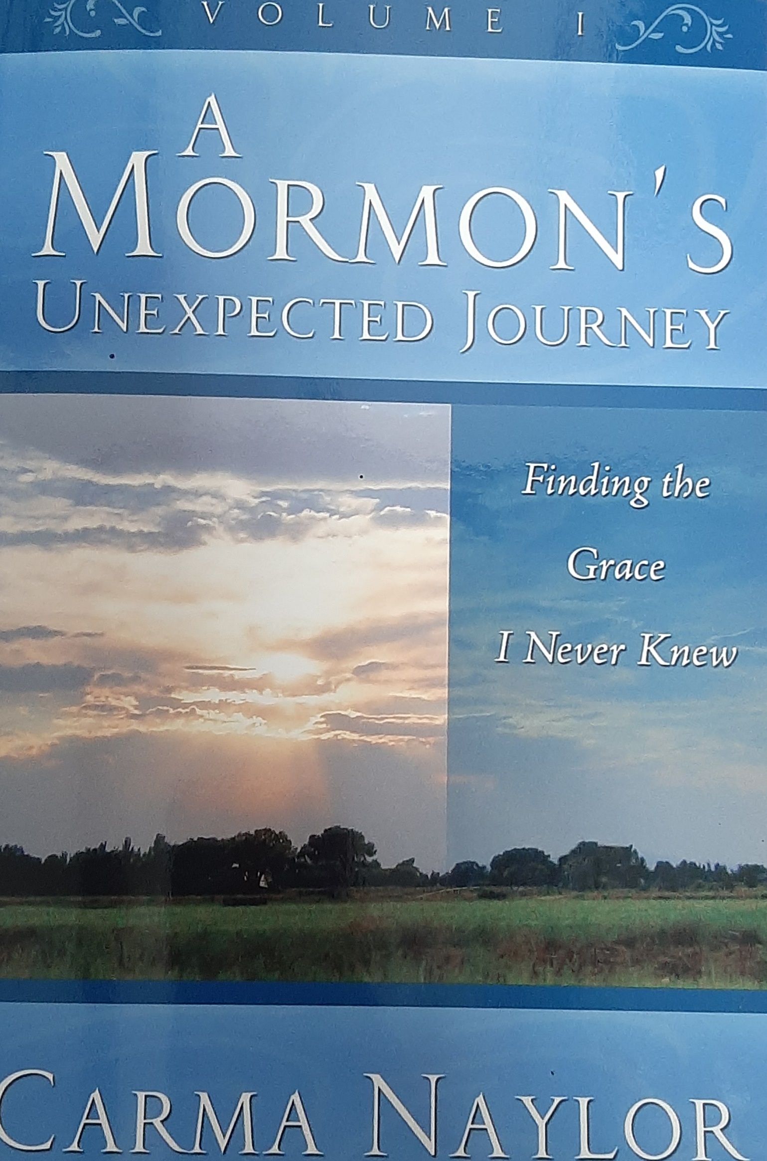 A Mormon's Unexpected Journey Volume 1 Finding the Grace I Never Knew ...